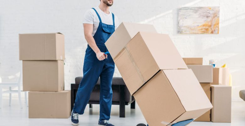 Why Choosing the Best Orlando Movers Guarantees a Smooth Relocation ...